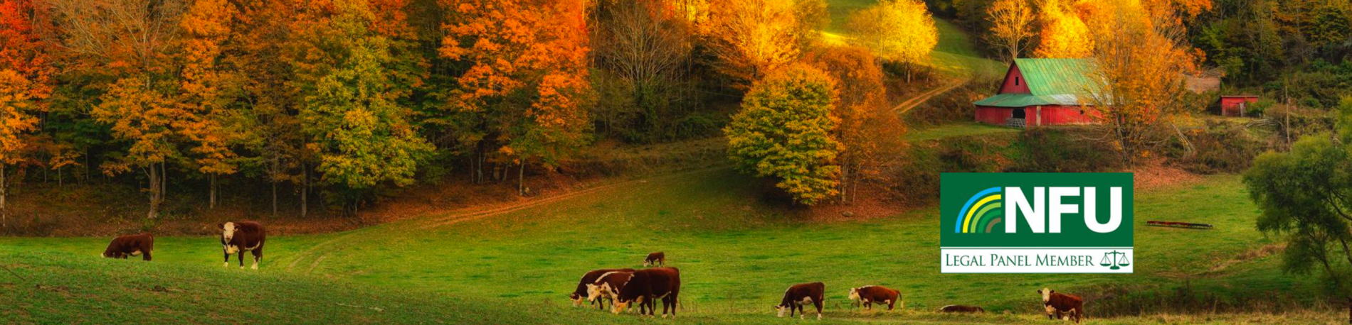 Agriculture: Agricultural Tenancies and Tenancy Reform