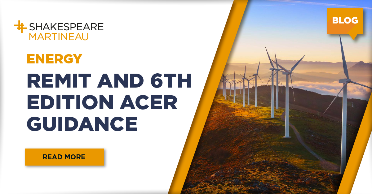 REMIT and 6th Edition ACER Guidance