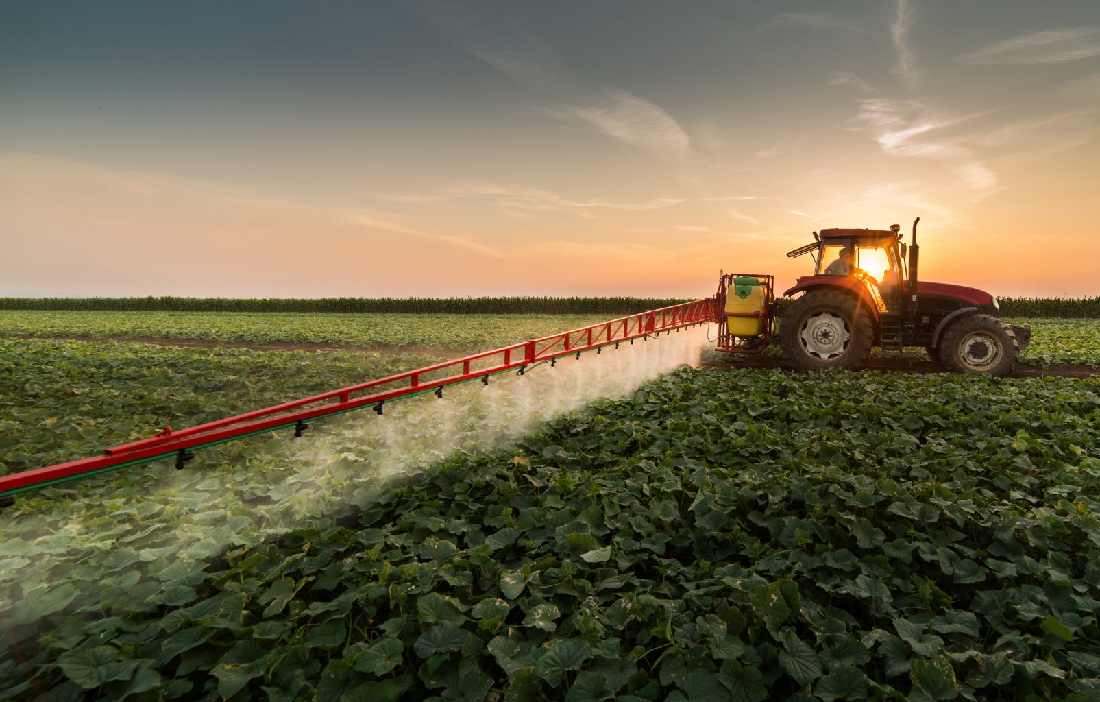 Women in Agriculture Lead the Way in a Changing Rural Landscape ...